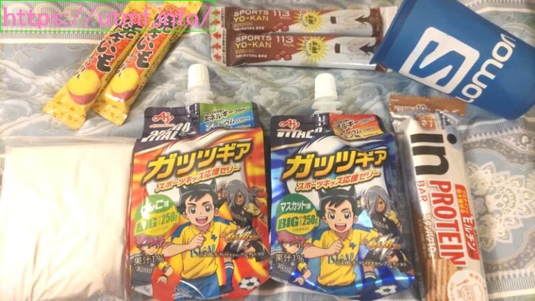 Fuji100mileへの道！コース攻略と練習方法、完走に必要な持ち物とは？